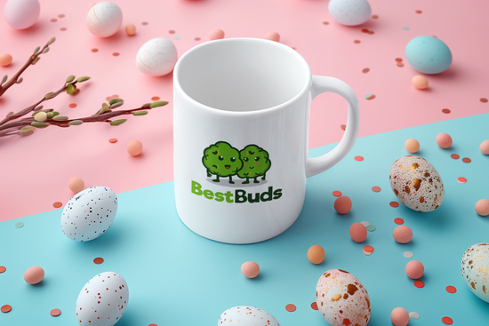 Best Buds Dispensary Home
